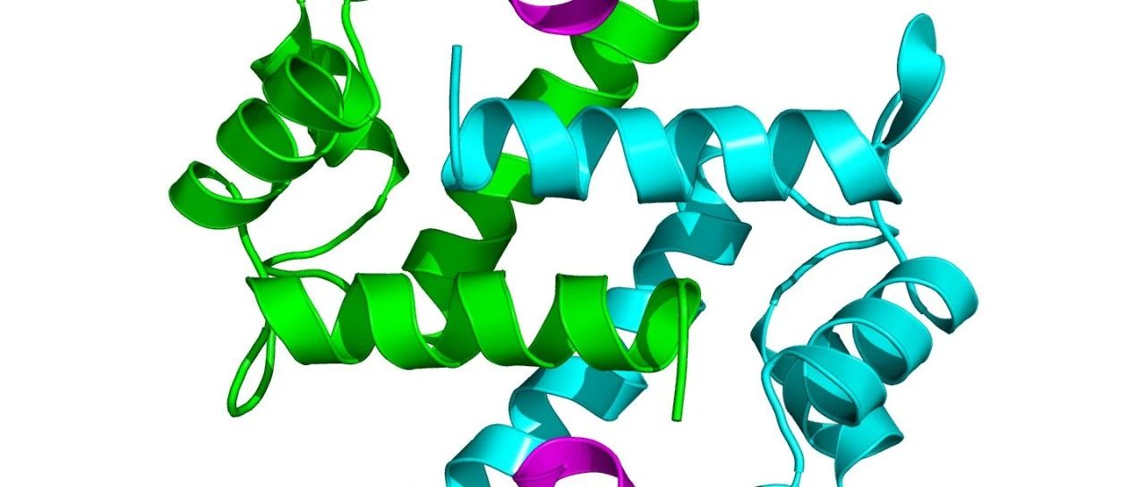 藏文科普 | X射线衍射：当物理遇见生物|物理|生物|生命科学_新浪新闻