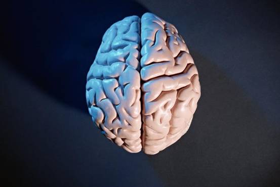 科学家又有惊人发现，恐龙迟早会灭绝，它没有什么脑子？