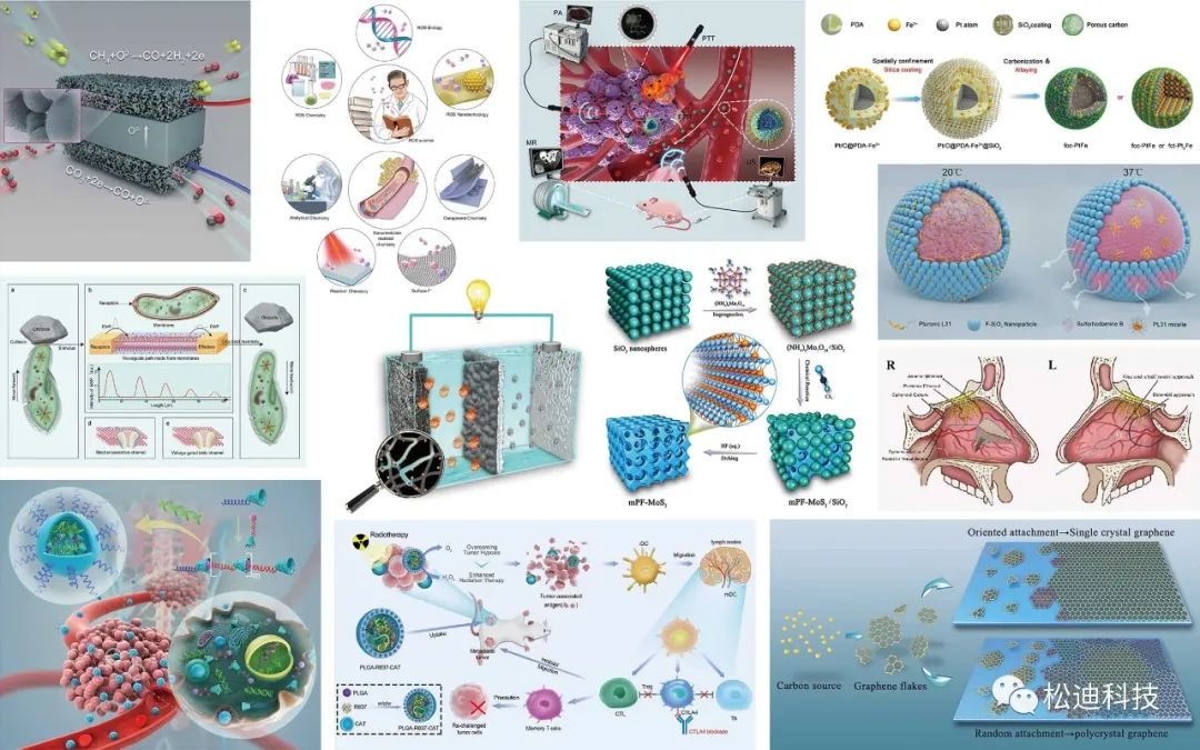揭秘！Nature级期刊到底喜欢什么样的插图？|科研|论文_新浪新闻