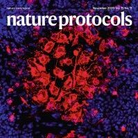 如何评估执行功能？Nature Protocols文献方法解读|视觉|小鼠|文献|触屏|奖励_新浪新闻