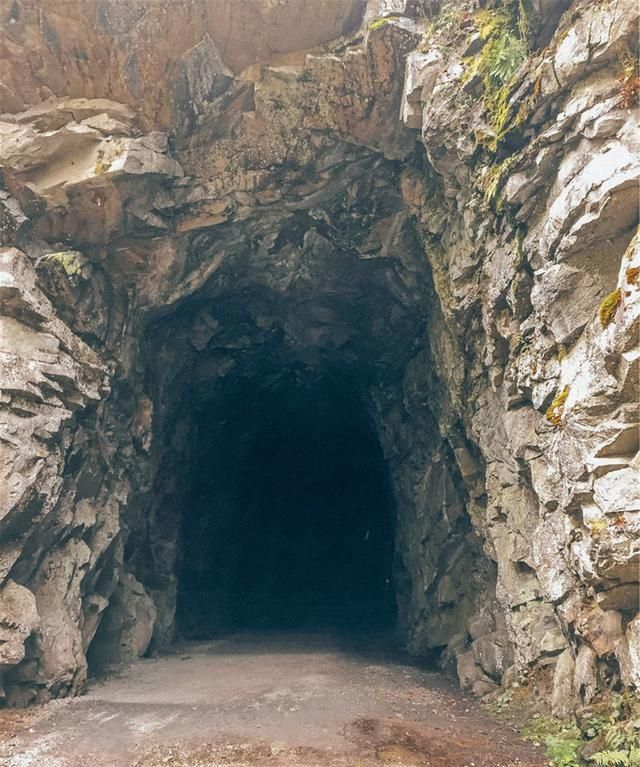 SCP-1555设施,上一次进入里面的特勤队,到现在还没有出来|设施|特勤队|地形_新浪新闻