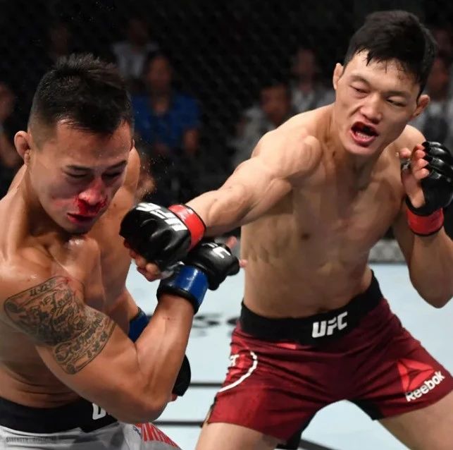 44秒KO！今天藏族雄鹰打平UFC蝇量级第三快终结！|苏木|戈登_新浪新闻