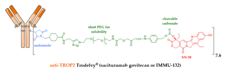 ADC药物：过去的十年|FDA_新浪新闻