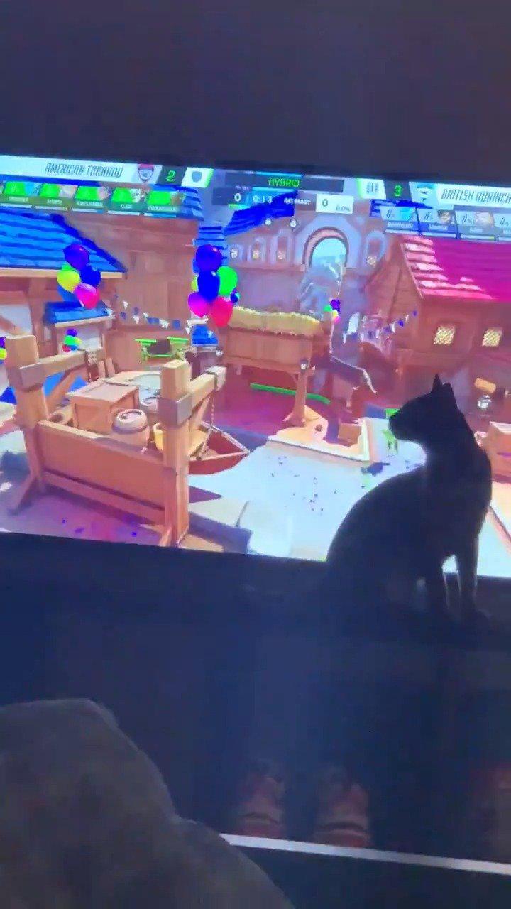 这个球呢 来源：Twitter—FRANA_OW_新浪新闻