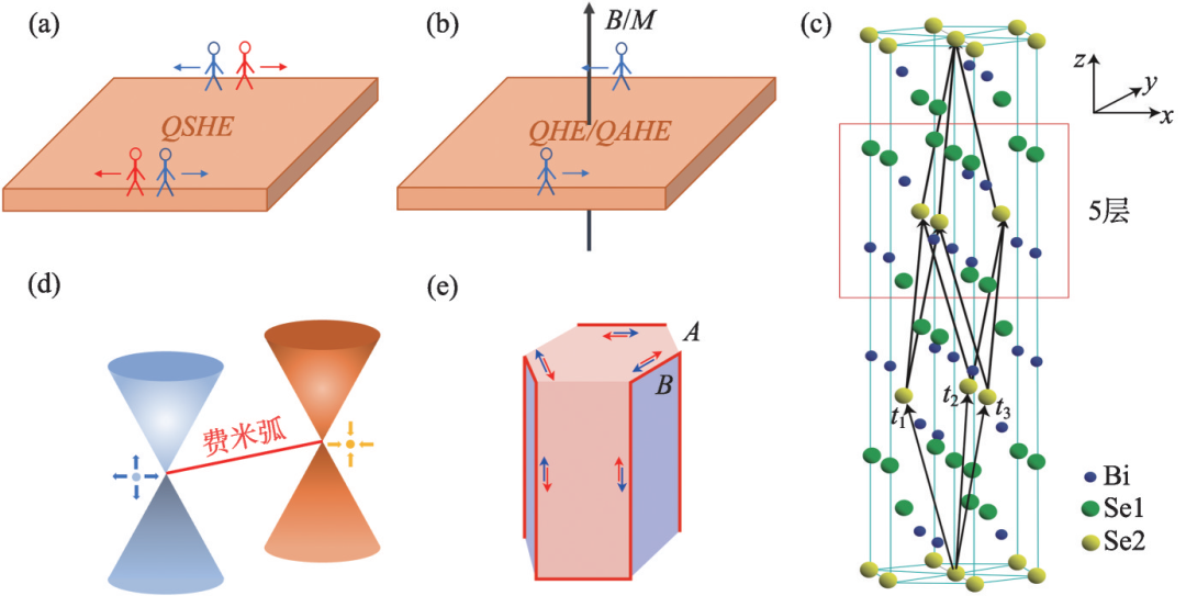 反铁磁拓扑绝缘体与轴子绝缘体 ——MnBi2Te4系列磁性体系的研究进展