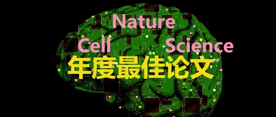 CNS三大刊2020年年度最佳论文全部出炉！脑科学一共4篇，我国学者入选1篇！_新浪新闻