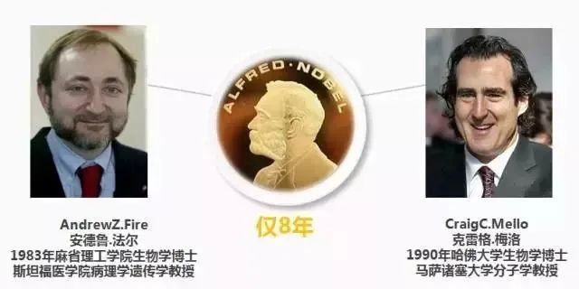 【2020春季】RNAi纳米靶向药递送研发定制科研项目|科研项目|纳米|新冠肺炎_新浪新闻