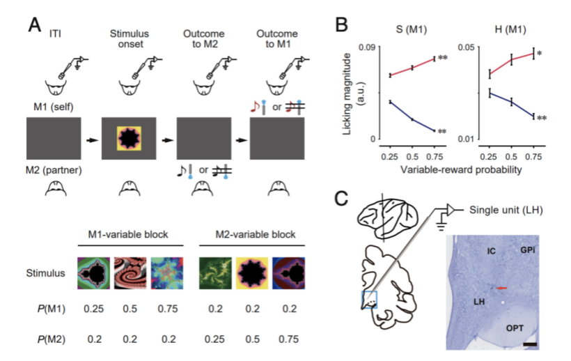 Brain: 在新的计算时代重新审视“大脑模式”| 脑科学顶刊导读030期