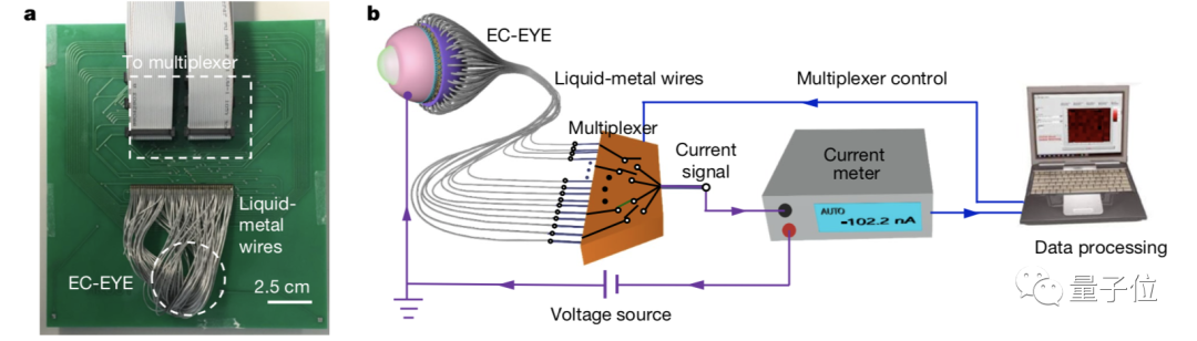 Nature：首个完全复现人眼的仿生眼问世，港科大造出半球形人工视网膜，感光性能超过人眼460倍_手机新浪网