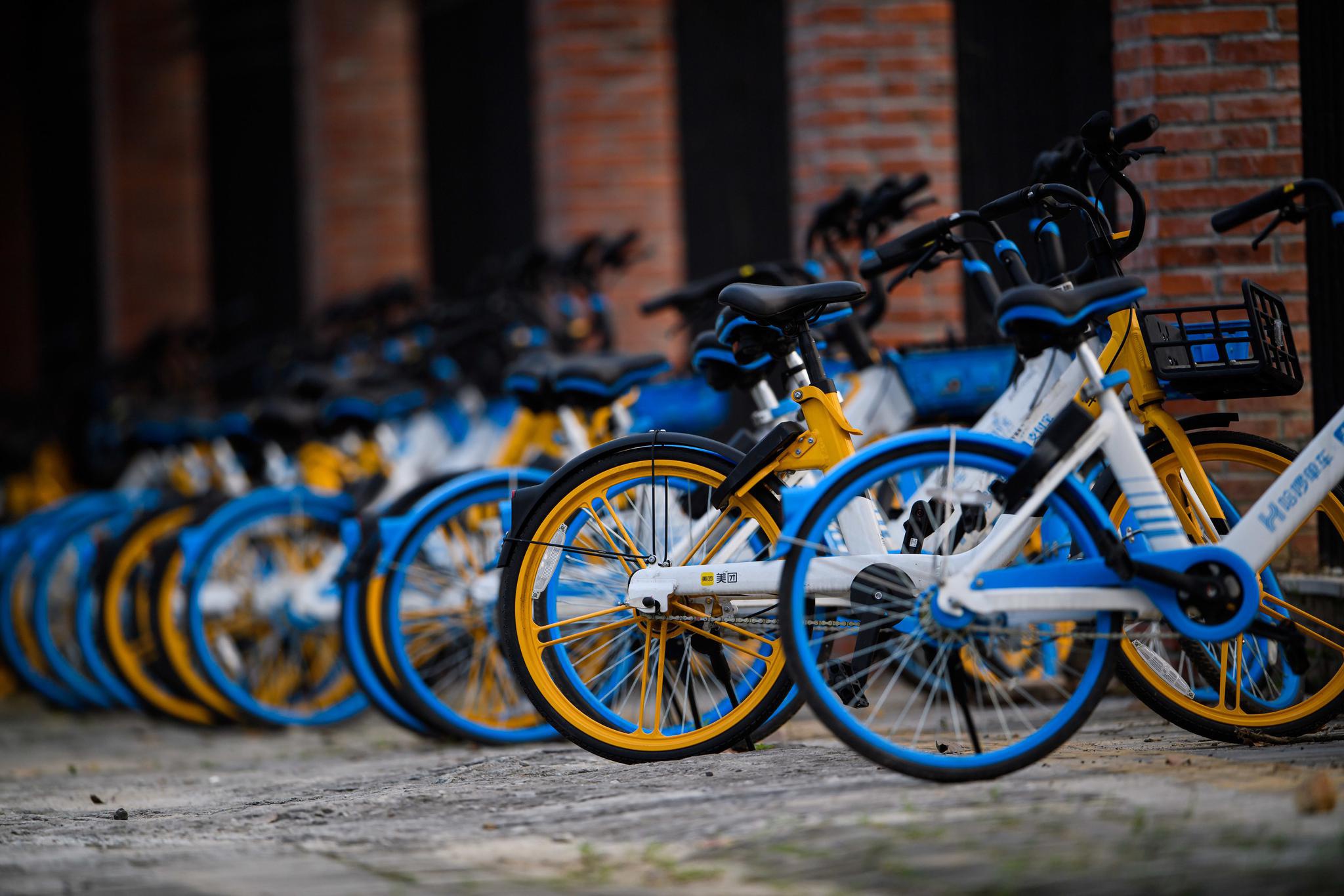 共享单车再掀风云，滴滴、美团、哈啰多赛道交战|美团|共享单车|滴滴_新浪新闻
