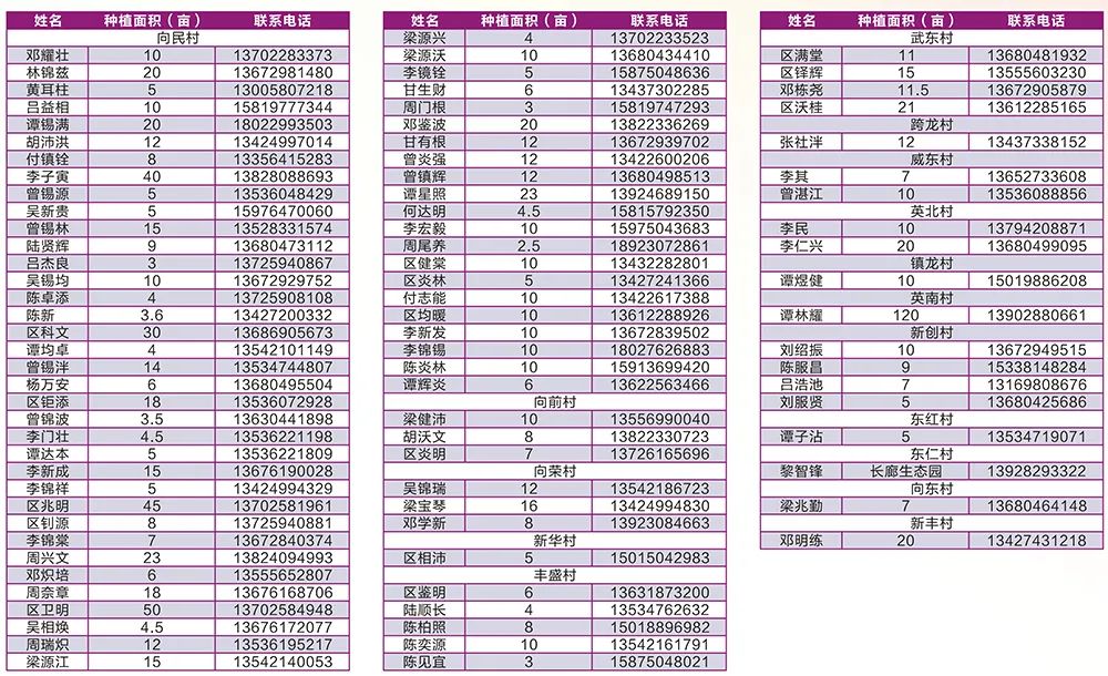 免费入场！2020礼乐葡萄节来了！鲜果品尝、醉美乡村游……附吃喝玩乐全攻略