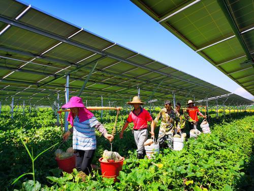 韶关始兴：发展“农光互补”，村民享受“阳光福利”|南瓜|马市镇|始兴_新浪新闻