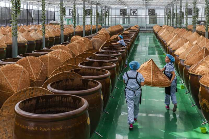 巧媳妇《齐民要术》酱文化体验馆开馆|淄博市|山东|齐民要术_新浪新闻