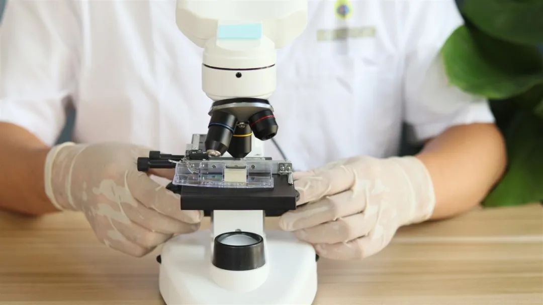 科学实验 | 能做馒头的酵母菌长啥样？放大1600倍给大家看看_新浪新闻