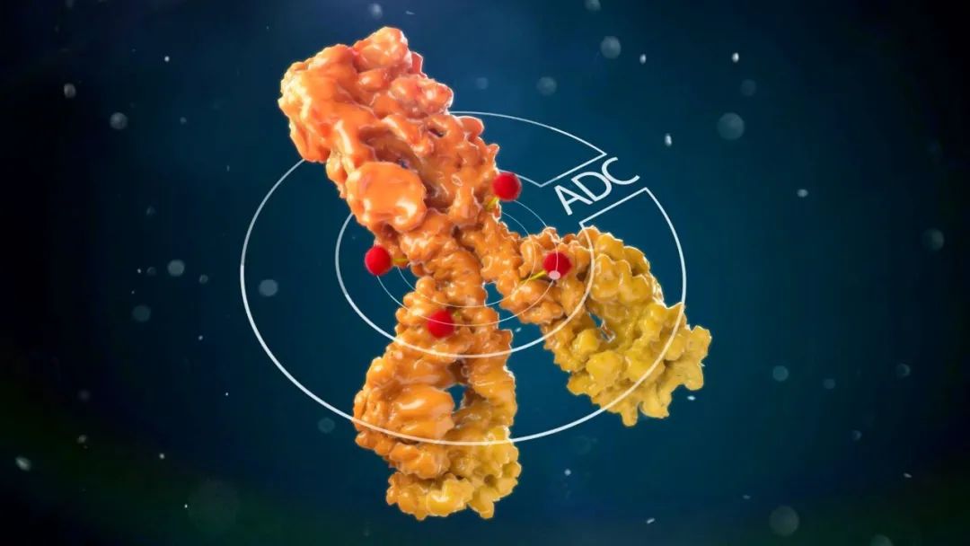 首个中国自主研发的ADC药物获FDA突破性疗法认定，用于治疗尿路上皮癌__财经头条