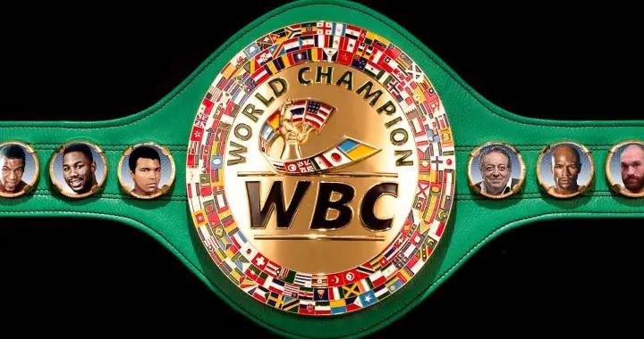 拳王梅威瑟乐了！WBC要将他的头像印制在所有的WBC金腰带上|金腰带|拳王|WBC|梅威瑟_新浪新闻