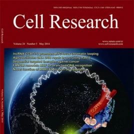 一篇Cell Research背后的坎坷故事|双光子|光谱|细胞|老师|审稿_新浪新闻