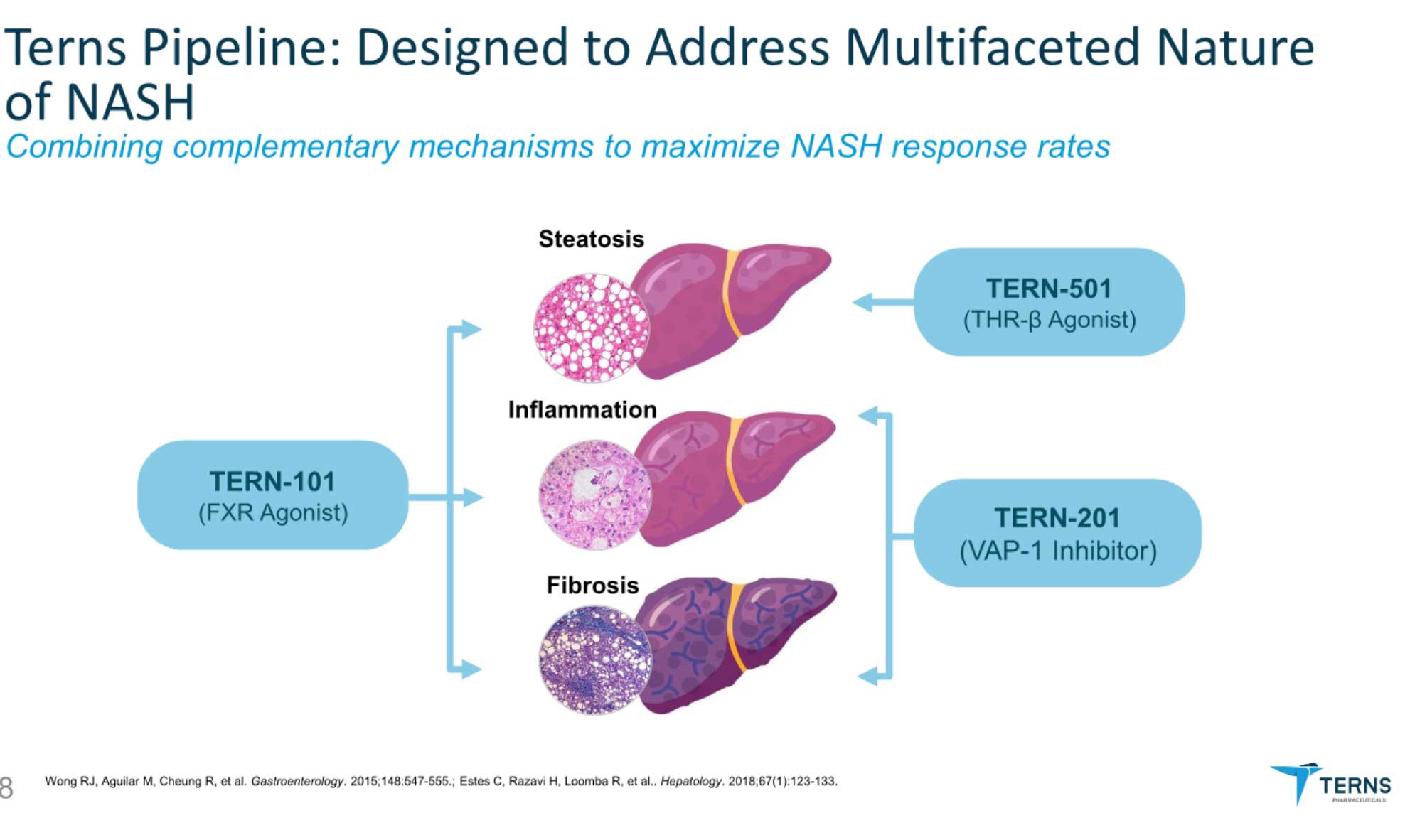 医药企业Terns冲刺美股：拟募资1亿美元 路演PPT曝光__财经头条