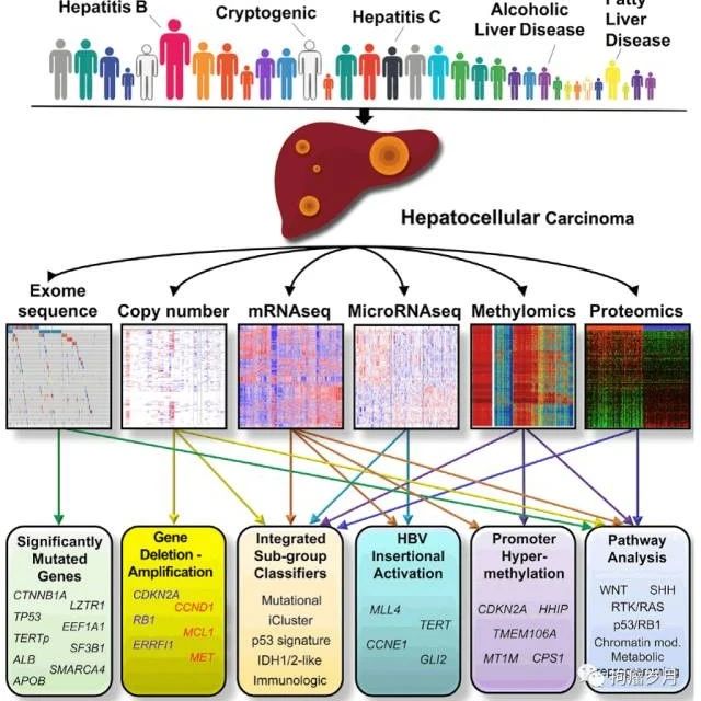 “0代码”玩转TCGA，GEO数据库|基因_新浪新闻