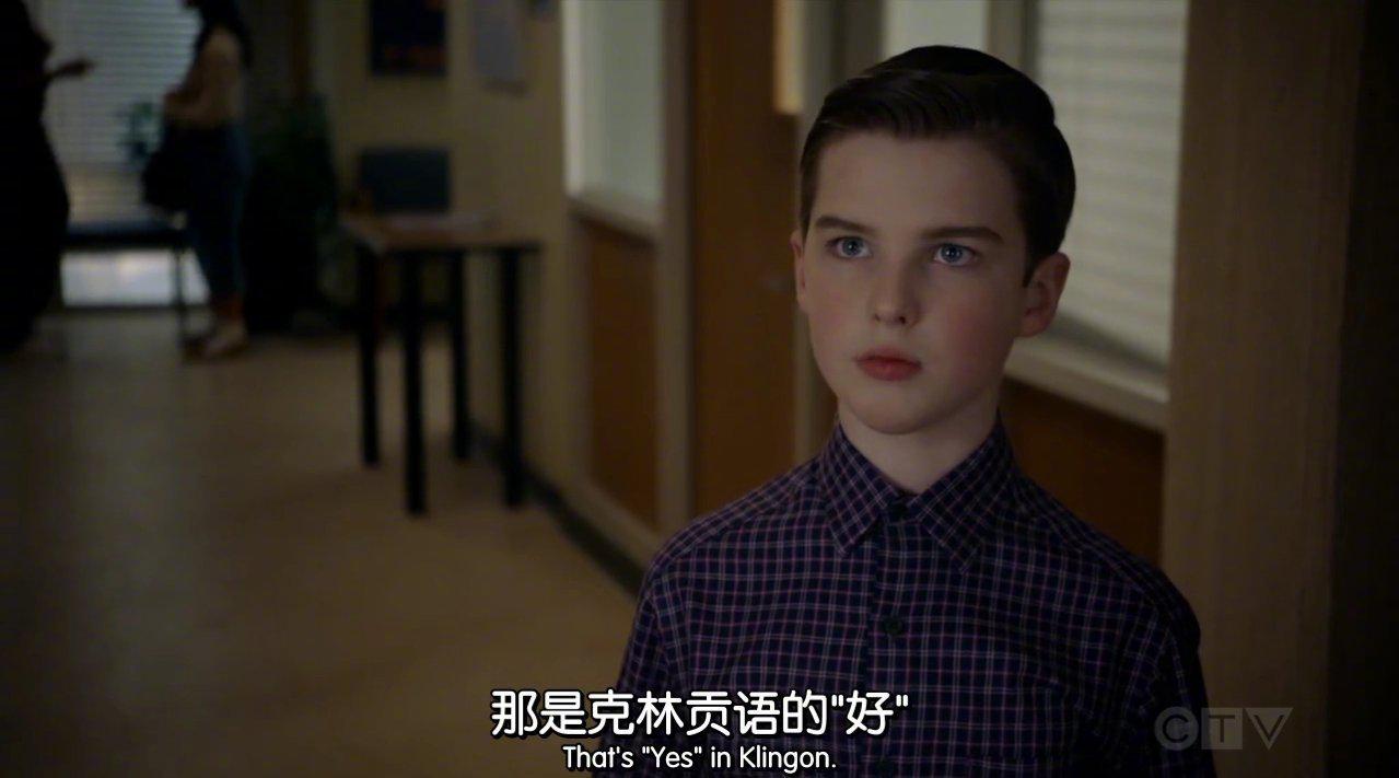 Sheldon学到的获胜不二法门——死缠烂打_新浪新闻