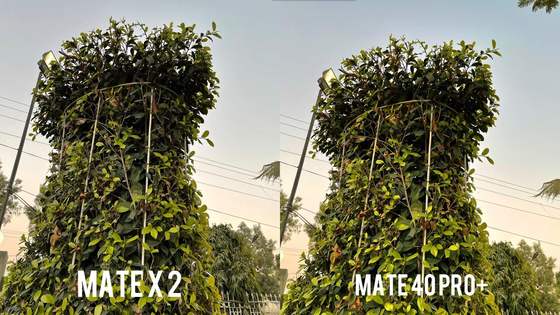 超感5000万镜头谁更强？华为MateX2/华为Mate40Pro+拍照对比__财经头条