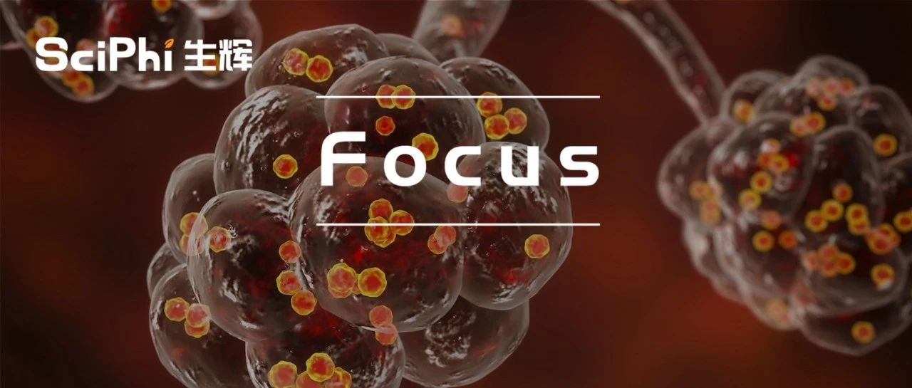 剑指实体瘤，CAR-M疗法完成全球首例患者给药，欲成为细胞疗法下一个风口？|癌细胞_新浪新闻