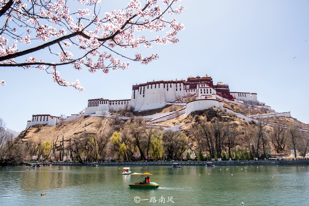 拉萨的春天也很美，明明是高原城市，却有身在江南的错觉_旅游美食季_新浪博客