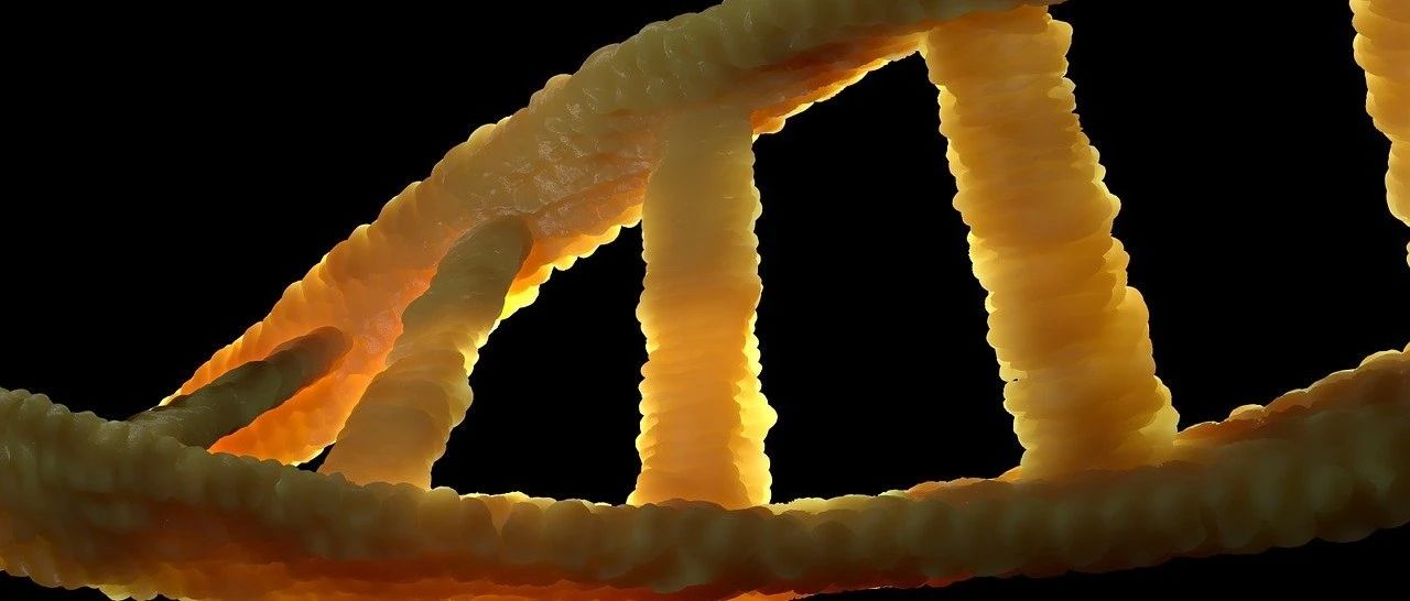 《自然》子刊：全球首个ctDNA检测方案大规模评估数据出炉，中国液体活检公司数据亮眼丨奇点猛科技|中国_新浪新闻