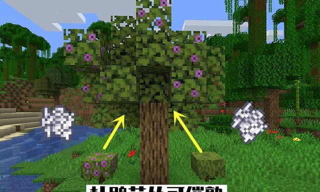 我的世界：钟乳石优化,可滴水生成石笋,原来21w16a没有鸽