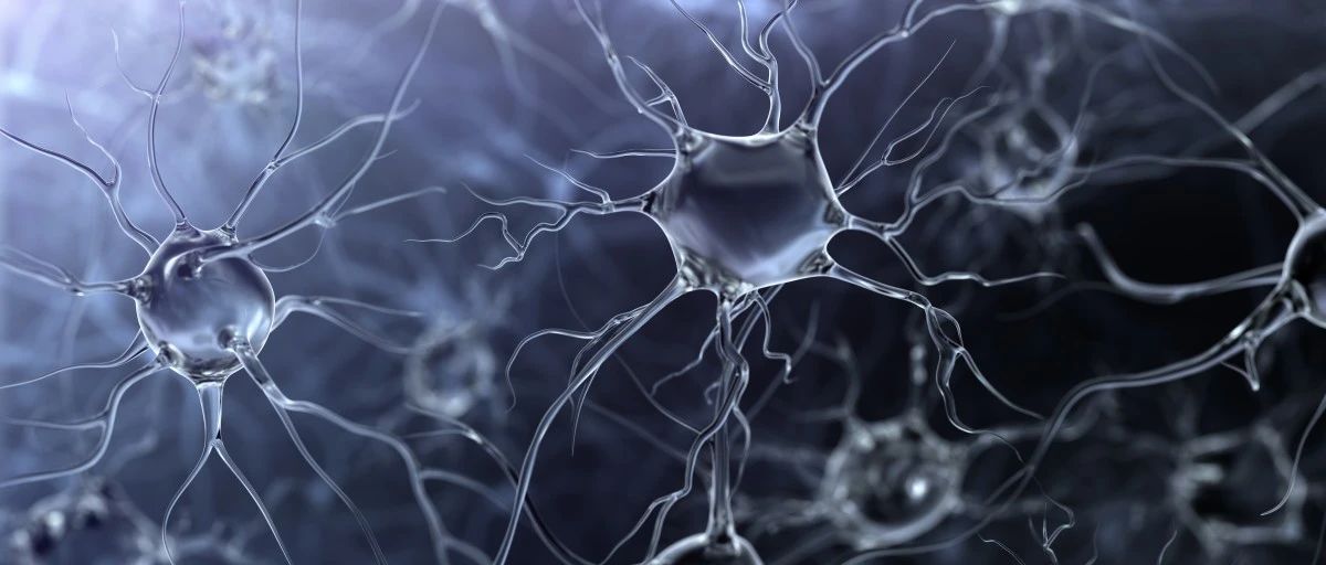 《自然》子刊：揭秘AD患者特定神经元死亡的原因！科学家首次发现，ApoE会诱导MHC-I表达，激活免疫反应，杀死神经元|基因_新浪新闻