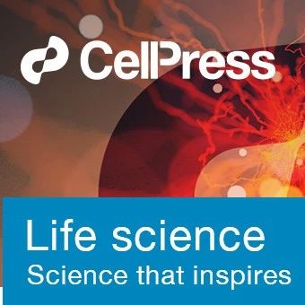 Cell：对话清华戴琼海院士团队，研发“上帝视角”显微镜|戴琼海|显微镜|清华大学_新浪新闻