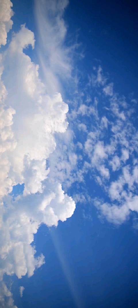 天上浮云似白衣，斯须改变如苍狗……_新浪新闻