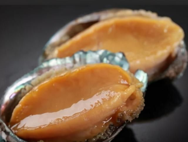 加州红鲍,世界上最大的鲍鱼,1只喂饱8个人,那中国为啥不引进?