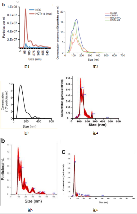 外泌体粒径分析：Nanosight 还是ZetaView?