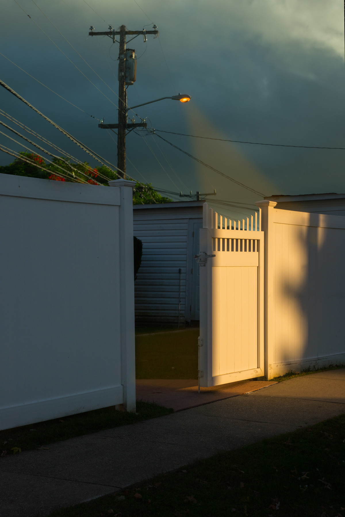 Kanghee Kim KangHee是一位居住在纽约的韩国艺术家……|艺术家|纽约|韩国_新浪新闻