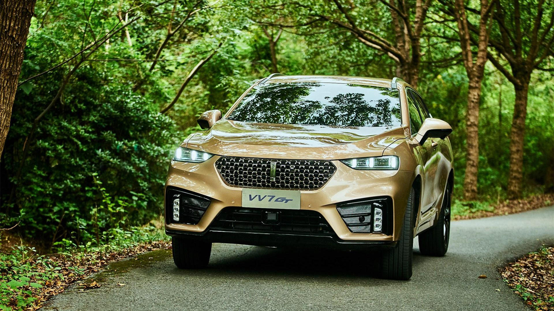 WEY VV7 GT家用值得买吗？空间够用吗？-新浪汽车