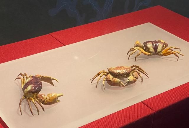 我们平常吃的虾,竟然几亿年没怎么进化|广东省博物馆|虾|地质年代_新浪新闻