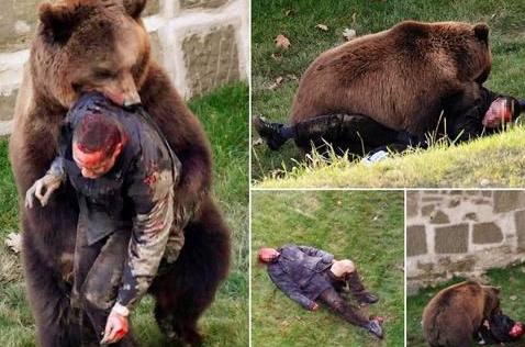 俄罗斯人徒手搏熊？事实非常残忍，莫斯科游客被一头棕熊当众吃掉|俄罗斯_新浪新闻