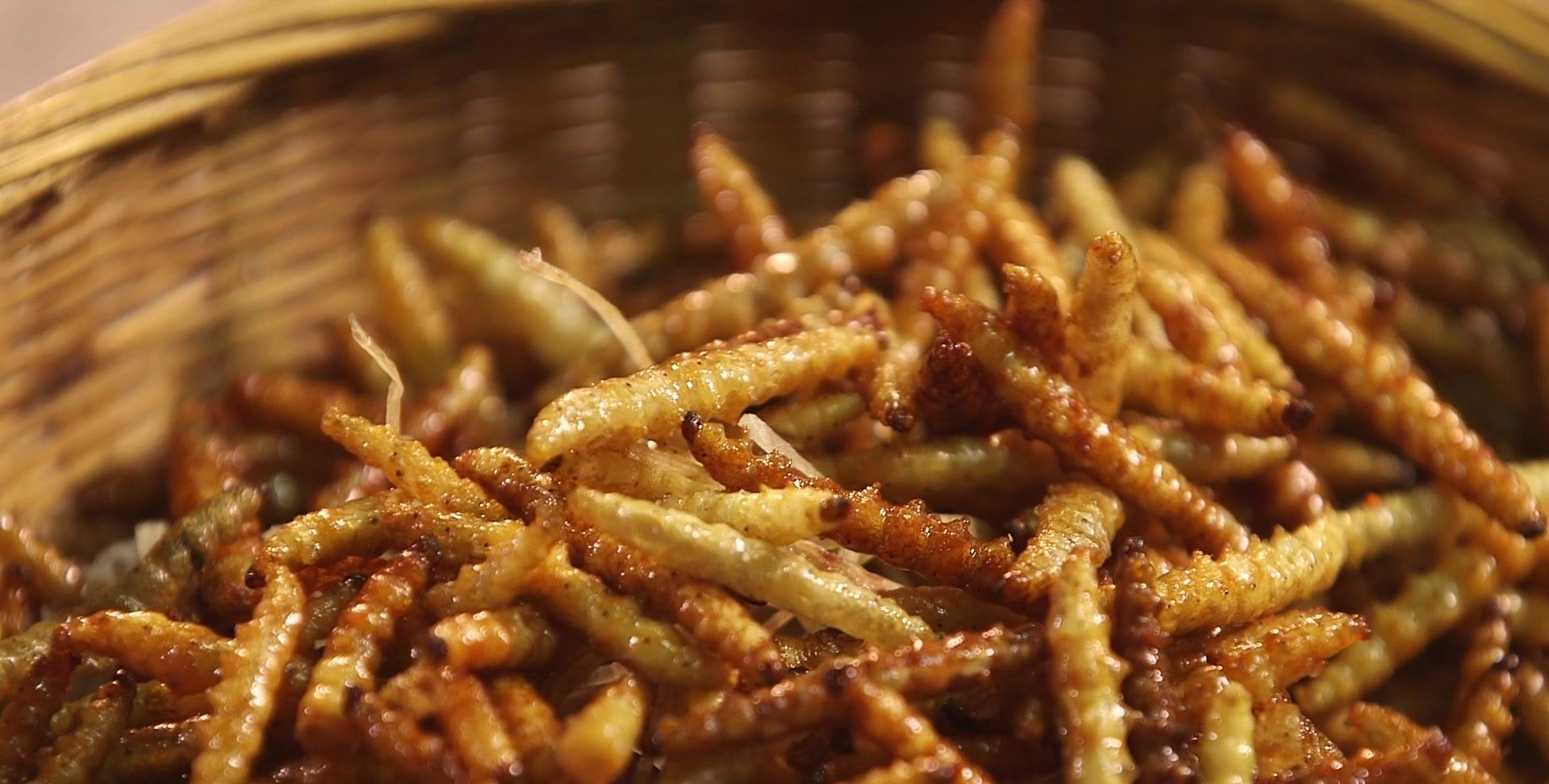 江苏的“四大怪菜”,全是当地人的心头爱,外地人看了：真敢吃|豆丹|菊花脑|当地人_新浪新闻