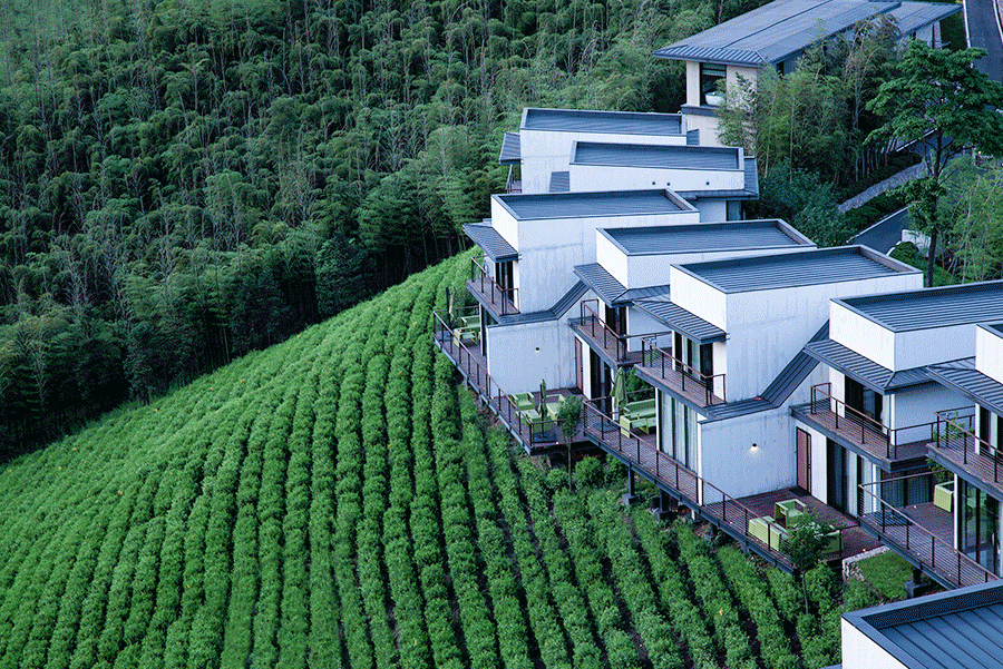 上海自驾2.5h，藏在山谷里童话仙境慧心谷绿奢度假民宿丨慧心谷|慧心|霞幕山|山谷_新浪新闻