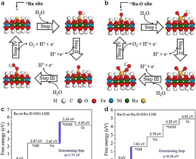单原子催化剂助力电催化全水解|催化剂|原子|电催化_新浪新闻