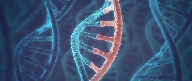 突破mRNA应用的局限，这一技术能带来新一代疗法吗？|RNA_新浪新闻