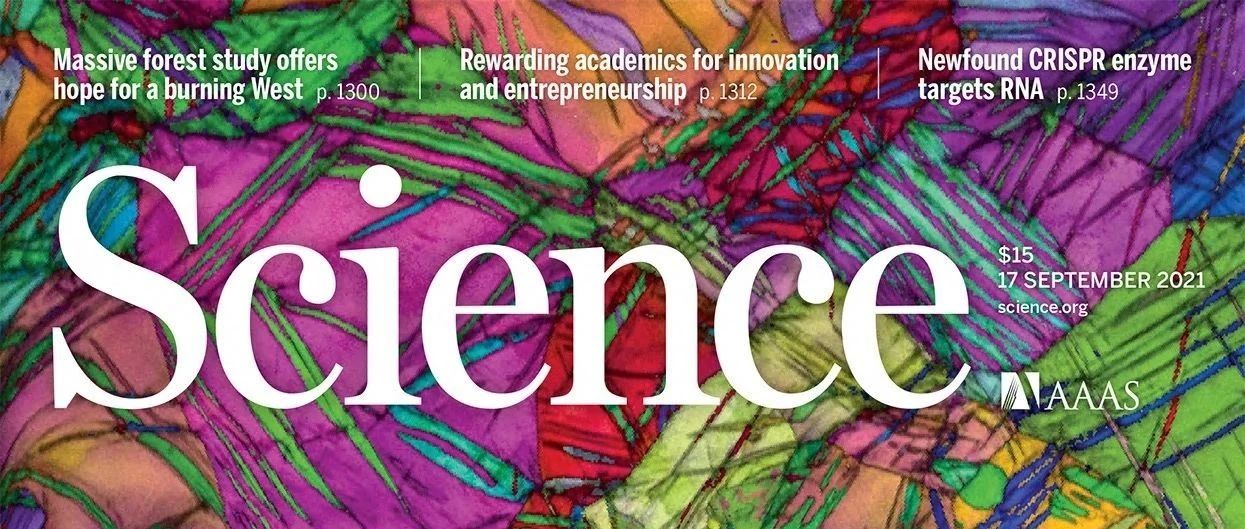 这期五彩斑斓的《Science》封面，来自北航团队的超强纳米孪晶钛|纳米_新浪新闻