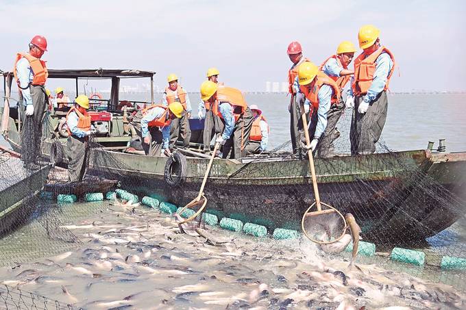 常州武进举办首届滆湖赶湖节|常州市|江苏省|农民_新浪新闻