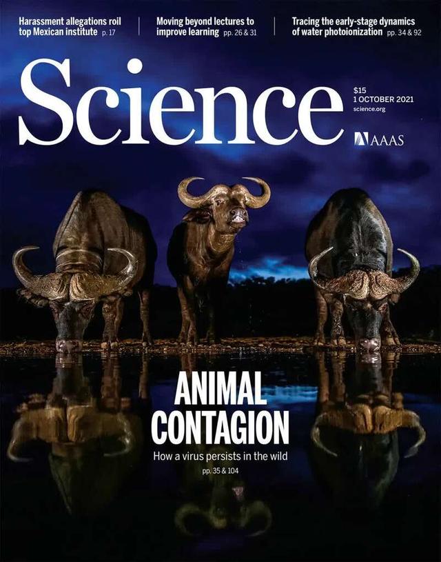 喜报！《Science》刊发北航化学学院成果，这个领域，里程碑意义|纳米|北航|化学_新浪新闻