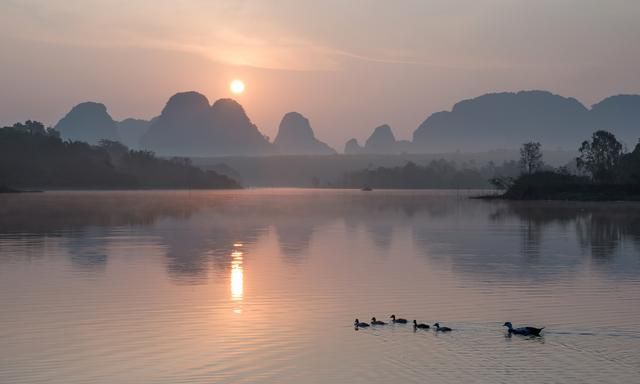 lame duck是什么意思?可不止是“跛脚鸭”!