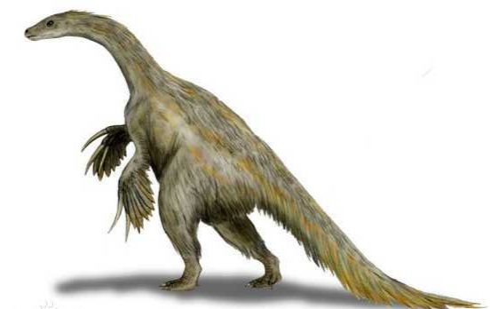 其实“恐龙”一直在我们身边