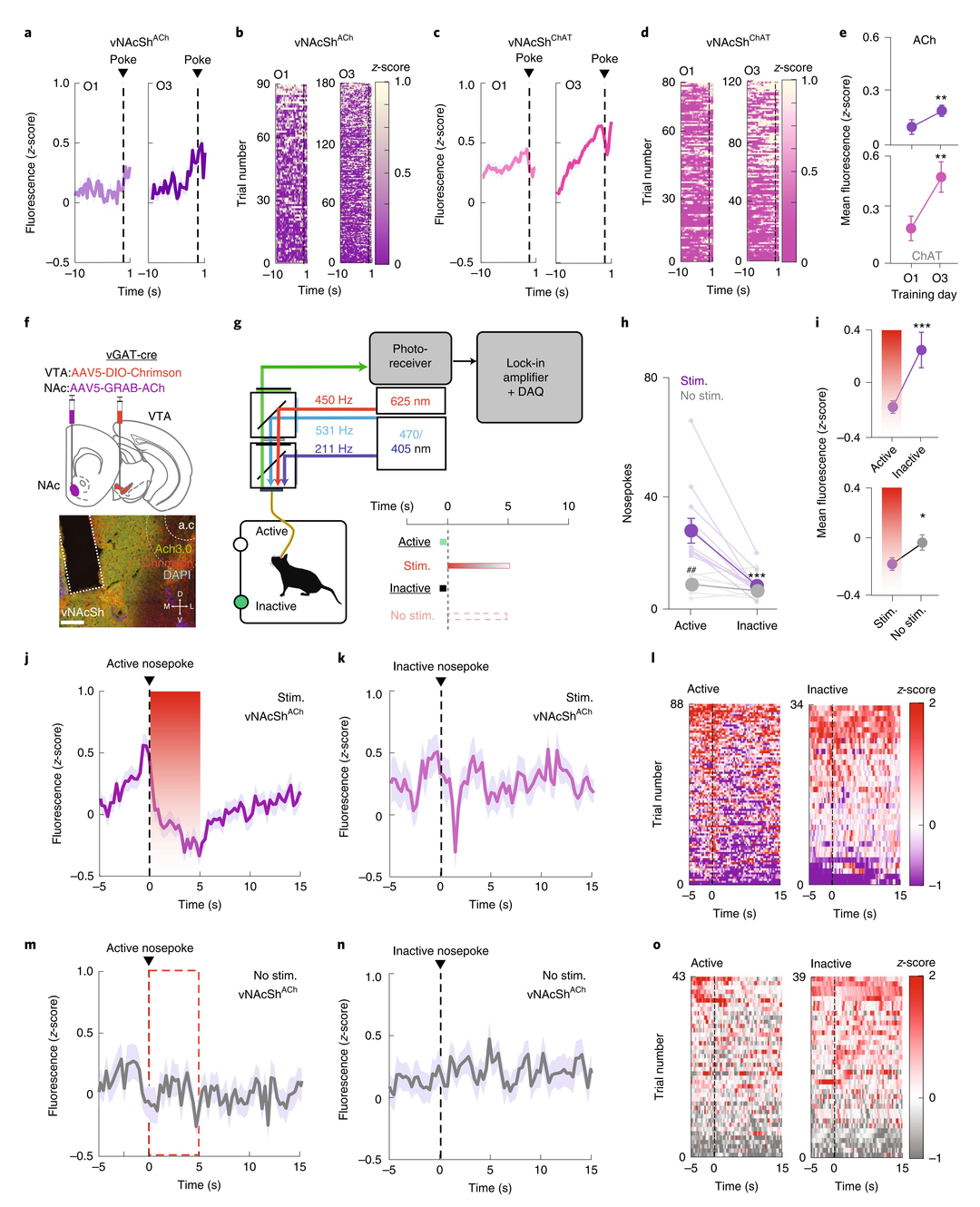 Nat Neurosci：破译VTA-NAc奖赏神经环路新机制|巴甫洛夫_新浪新闻
