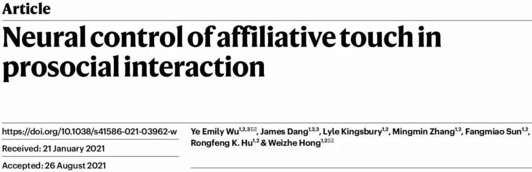 UCLA洪暐哲团队连续发表Cell、Nature、Nat Neurosci和Neuron__财经头条