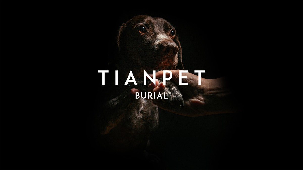 广州宠物火化哪家好？开启宠物善终新时代tianpet天宠__财经头条